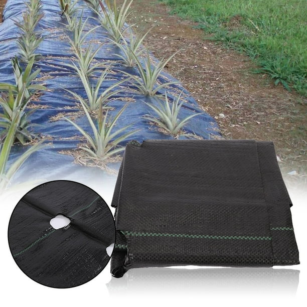 Easy-Plant Weeds Block for Raised Bed Outdoor Garden Weeds Rugs Garden ...