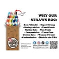 Roc Paper Straws Pink Striped Paper Drinking Straws 100 Count Box ...