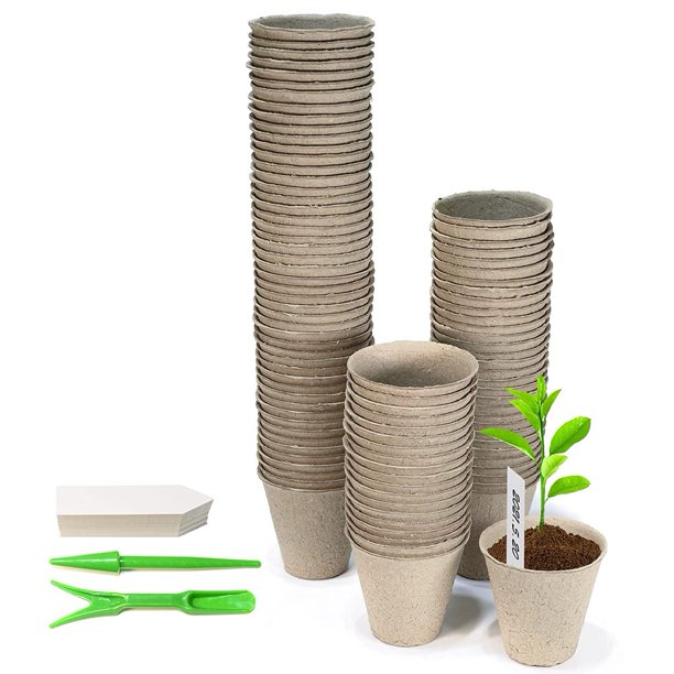 Growing Pots for Plants, Diameter 8 cm, Height 8cm, 100 Pieces Plant ...