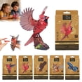 Bird Assembly Kit DIY 3D Paper Model Educational Kit With Realistic ...