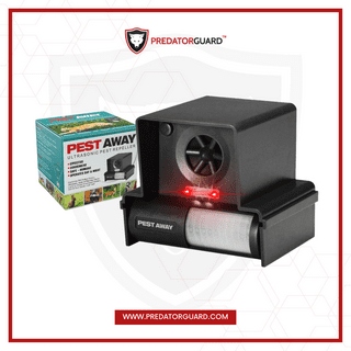 PupDefense Granules - Cane Toad / Sonoran Desert Toad Deterrent - 1 ...