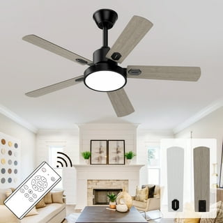 Disney Princess Ceiling Fans India | Shelly Lighting
