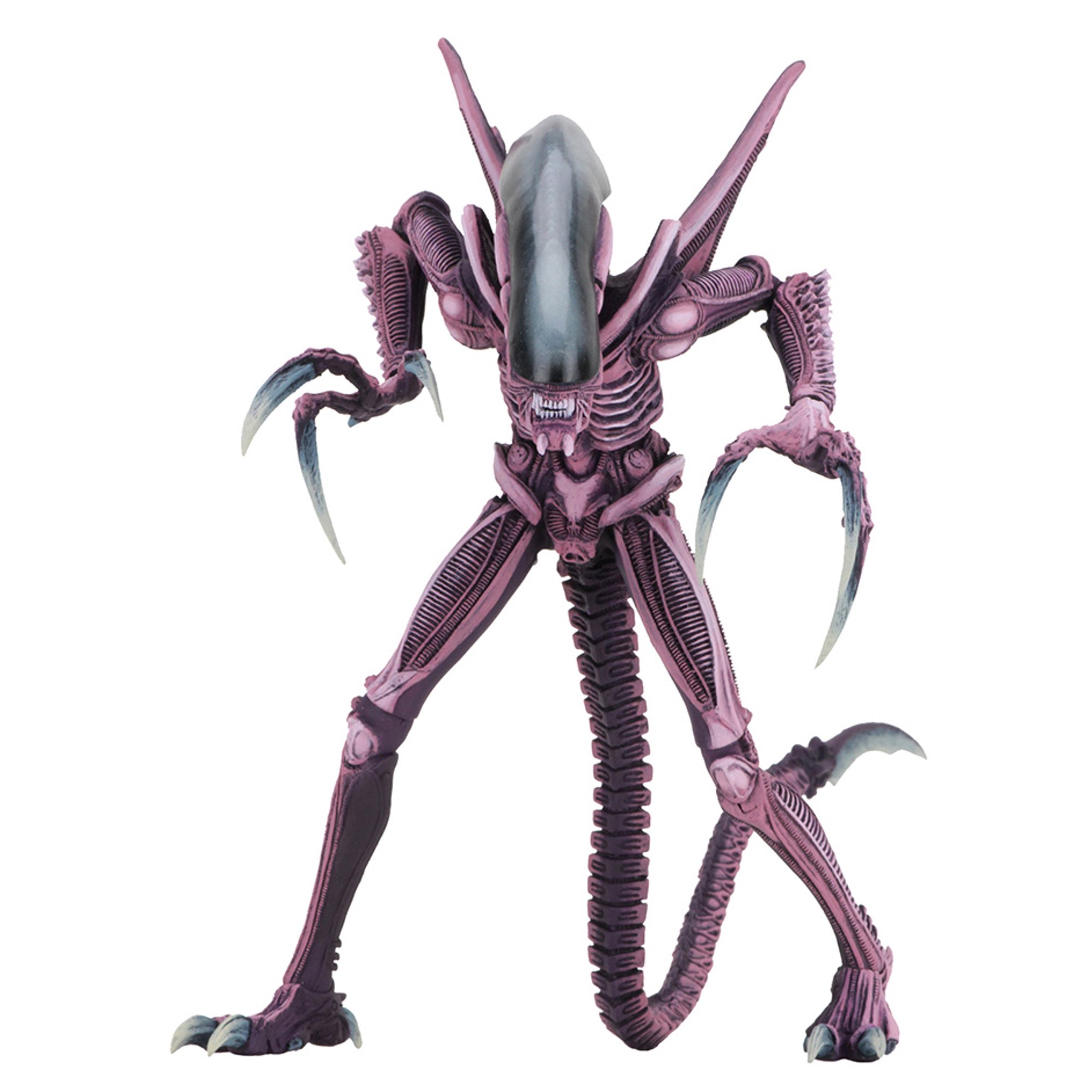 22cm NECA Xenomorph Warrior Alien VS Predator Action Figure, 41% OFF