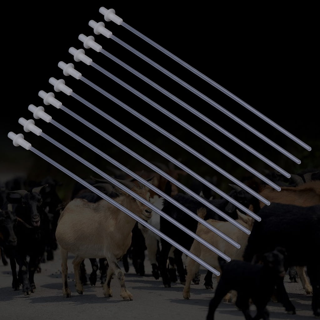 Buy 10PCS Disposable Insemination Catheter Artificial Insemination Rods ...