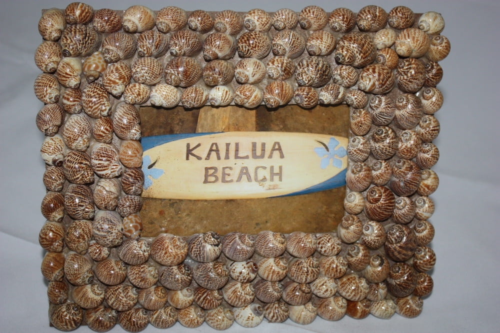 Seashell Photo Frame Brown Shells 3" 1/2" X 5" | #ana24033 - Walmart.com