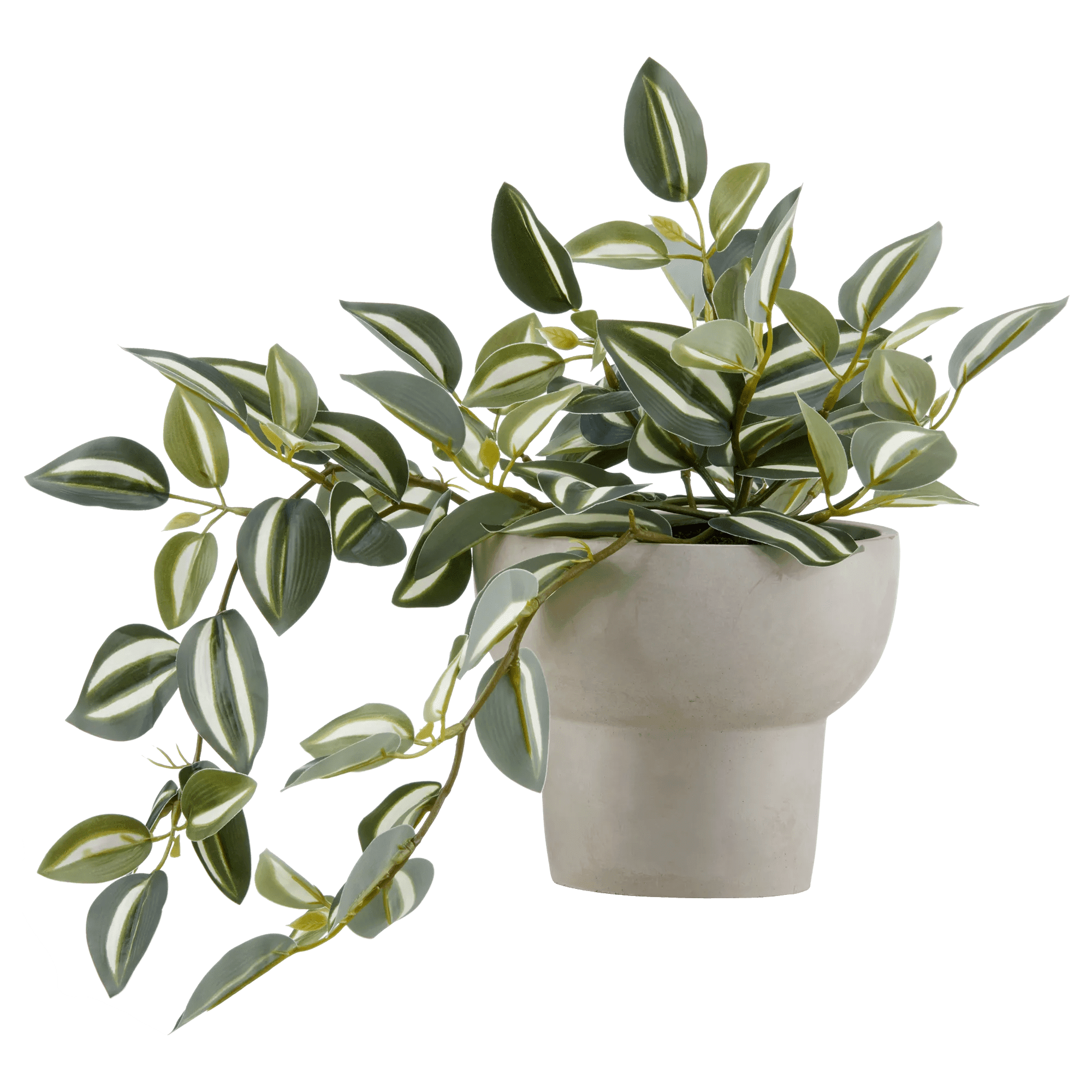 Click here for Bouclair Green Potted Falling Leaves 10 X 13 In (2... prices