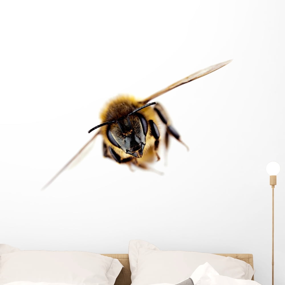 Honey Bee Flight Wall Decal by Wallmonkeys Peel and Stick Graphic (36 ...
