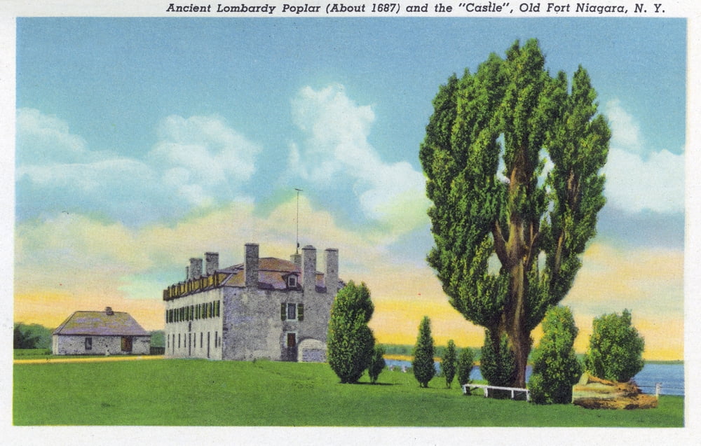 Old Fort Niagara, NY, Ancient Lombardy Poplar Tree and French Castle ...