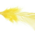 Feathers All Purpose Yellow 14 Grm Pack - Walmart.com