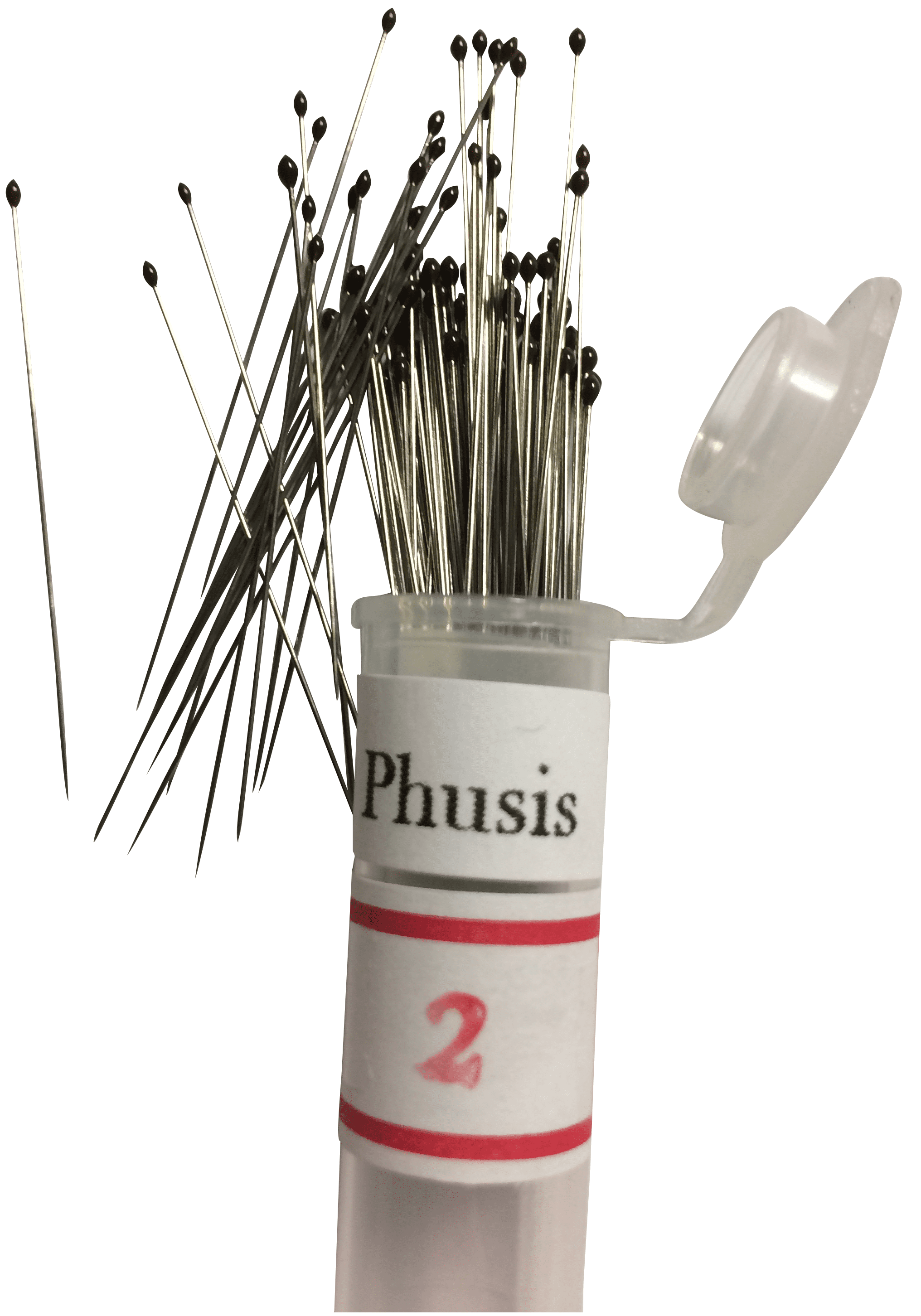 Phusis Insect Pins | Size #2 | 100 Pins/Vial | for Entomology ...