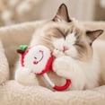 Catnip Cat Toy Duck Shaped Interactive Kitten Teething Chew Toy with ...