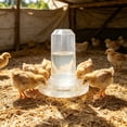 Automatic Water Feeder for Quail Chick Poultry, Small Drink Dispenser ...