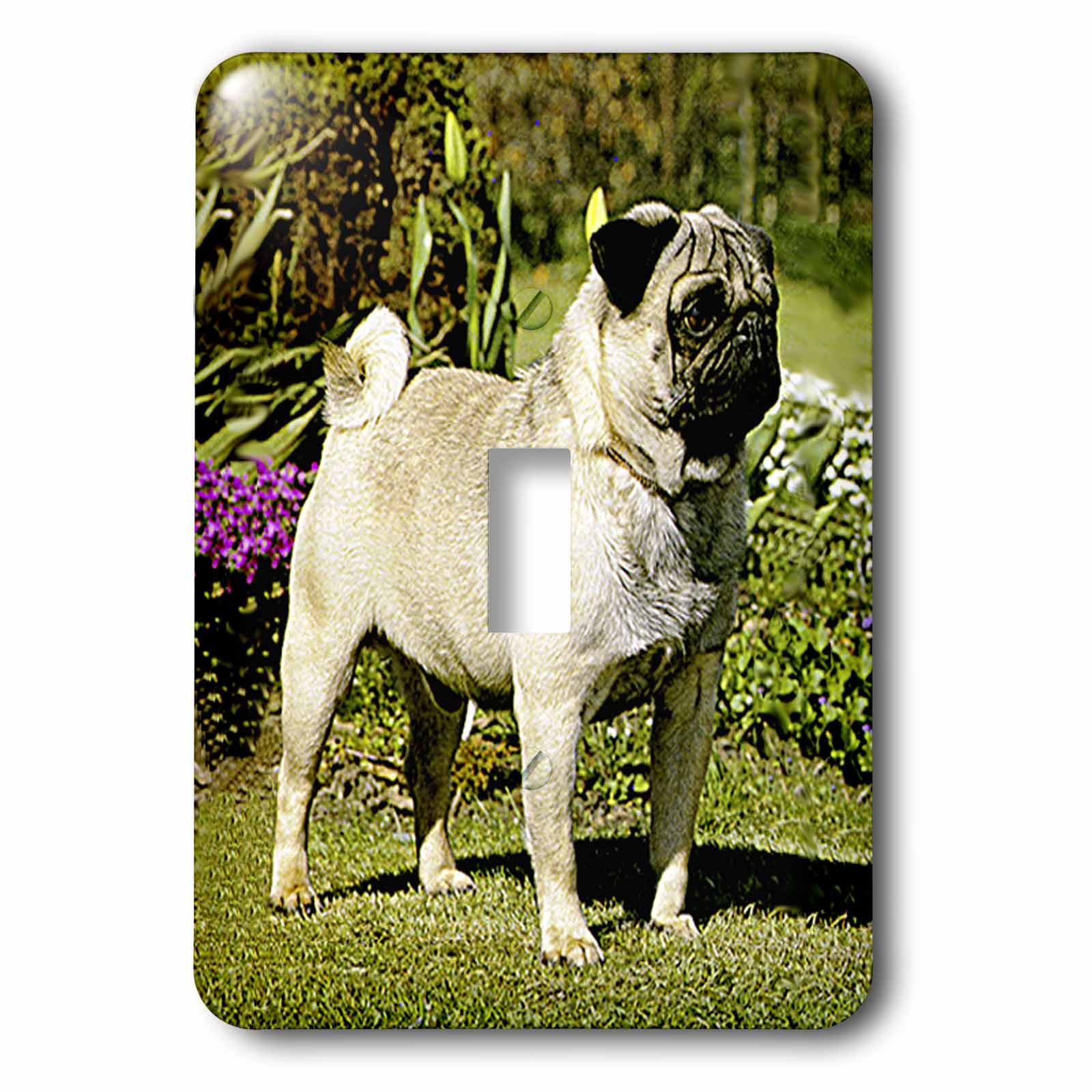 Fawn Pug single toggle switch lsp-498-1 - Walmart.com