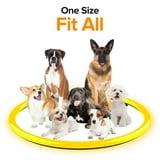 LED Dog Collar USB Rechargeable Glowing, Pet Collars Lighted Up Safety ...