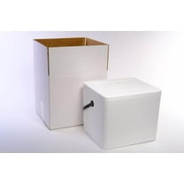 22qt Styrofoam Cooler | Large Lightweight Insulated Ice Chest for Food ...