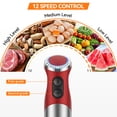 Immersion Blender Handheld for Kitchen, 5-in-1 Multi-Purpose Hand ...