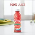 Tropicana 100% Ruby Red Grapefruit Juice, Vitamin C Packed, Convenient ...