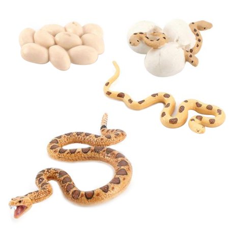 Margot Simulation Snake Growth Cycle Cobra Sand Python Model Children's ...