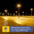 LU150/MOG 150 Watt High Pressure Sodium Light Bulb, Mogul Base (E39 ...