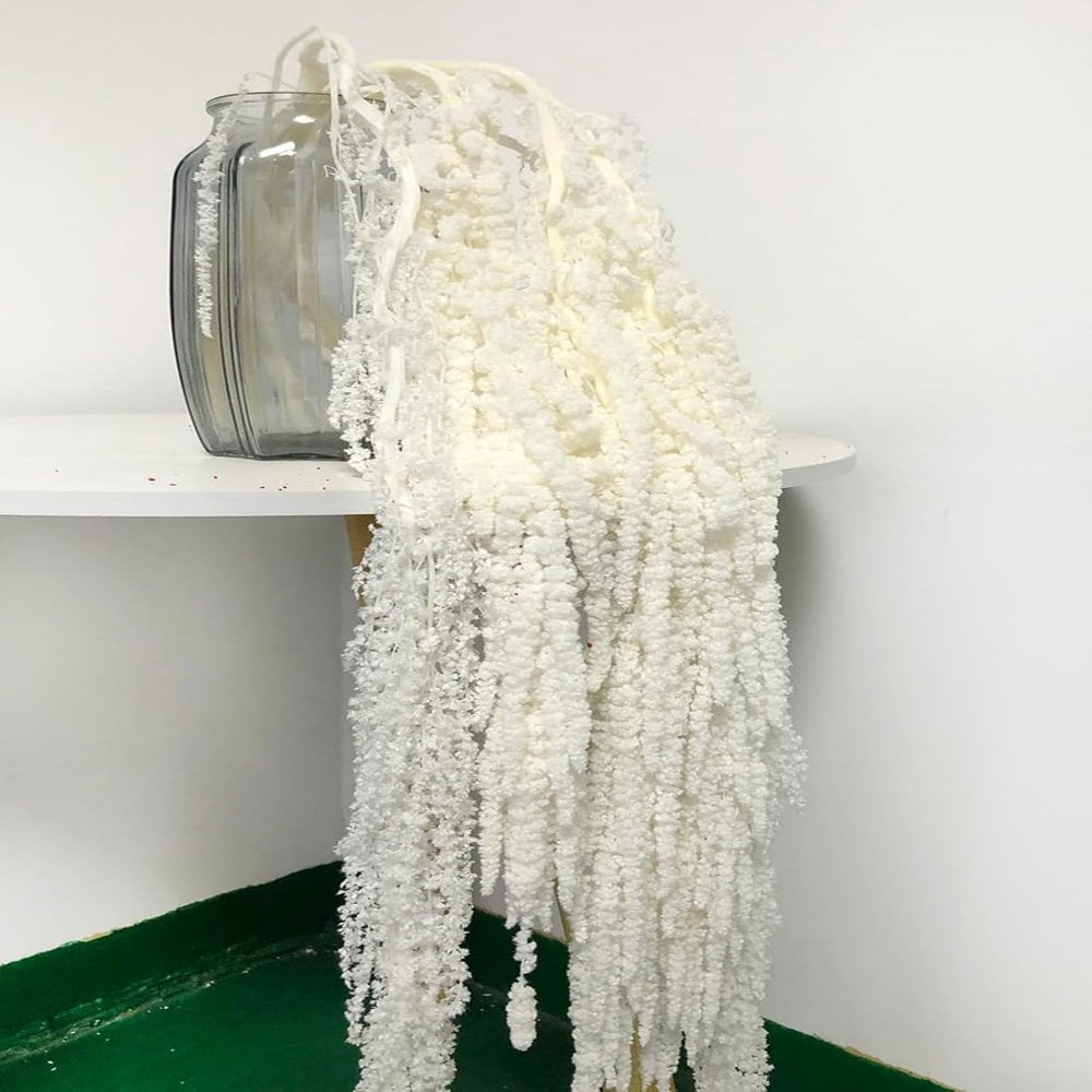 Click here for Mesase 5pcs Bleached Amaranthus Hanging Flowers 23... prices