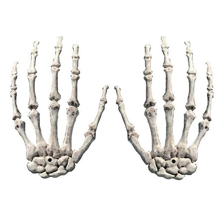 Halloween Skeleton Hands Realistic Life Size Halloween Witch Skeleton ...