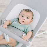Baby Delight Highland Portable Baby Bouncer, 3-Position, Infants 0-6 ...