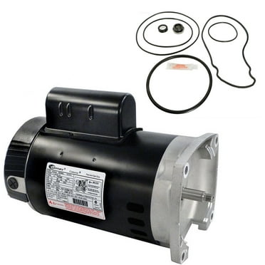 Puri Tech Pentair SuperFlo 1HP Pool Pump Motor Replacement Kit with AO ...