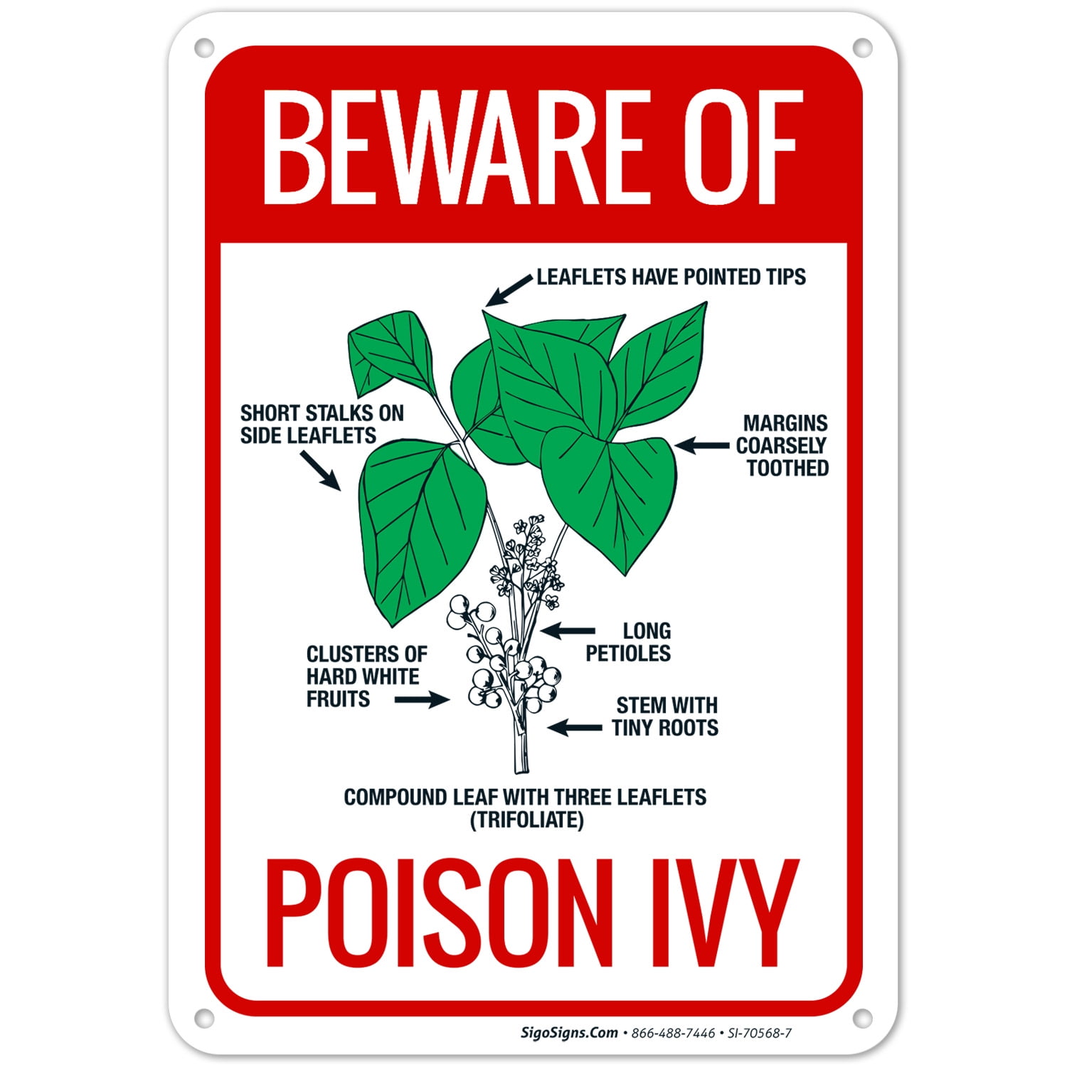 Beware of Poison Ivy Sign, - Walmart.com