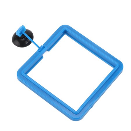 Fish Feeding Ring, Fish Floating Food Feeder Plastic Floating Fish Safe ...