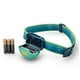 Firefly! Outdoor Gear LED 300 Lumens Headlamp - 3 AAA Batteries ...