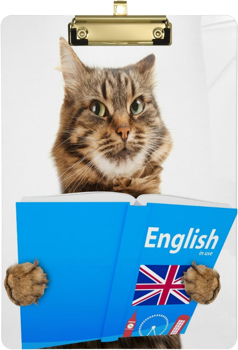 FMSHPON Funny Cat English Book Clipboard Hardboard Wood Nursing Clip ...