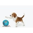 Pets Know Best Wobble Wag Giggle Treat Ball, Interactive Dog Toy ...