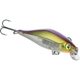 Rapala Shadow Rap Shad Lure Size 09, 3 1/2" Length, 3'4' Depth, 2 ...