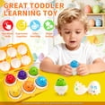 Matching Easter Eggs for Toddlers Age 1-3, Montessori Early Educational ...