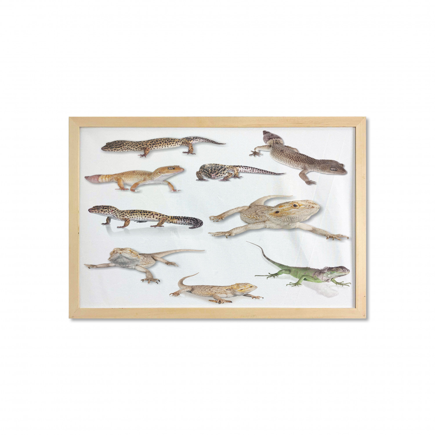 Reptile Wall Art with Frame, Colorful Staring Leopard Gecko Family ...