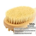 Female Sexy Cosmetics Shower Brush With Soft And Stiff Bristles Bath