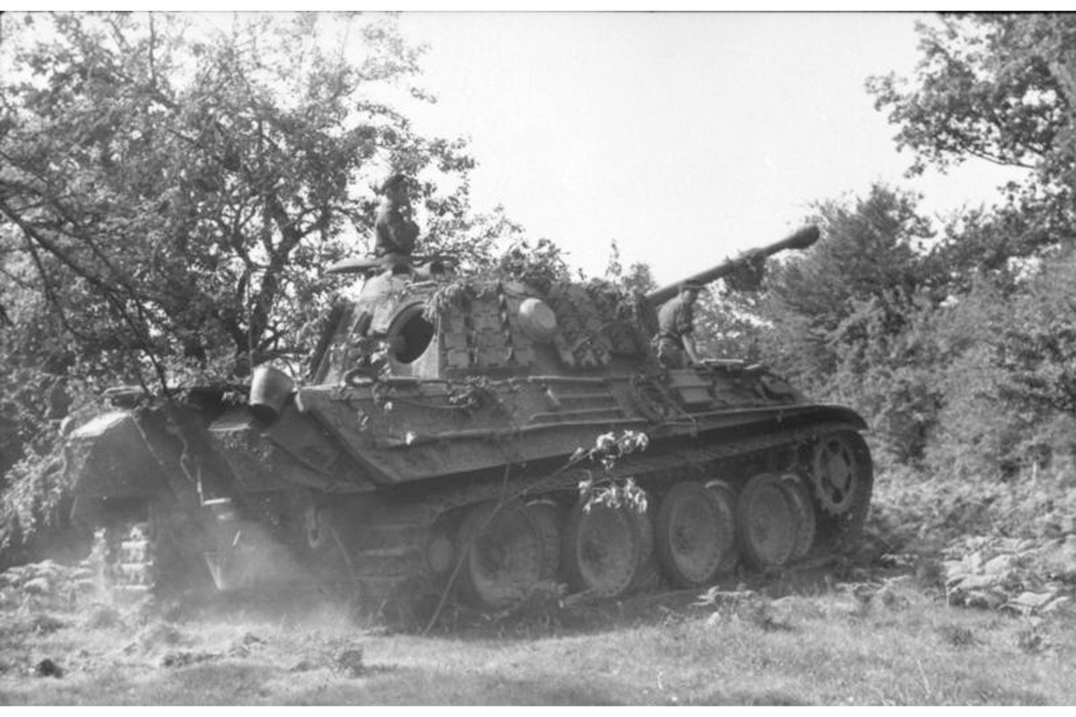 24x36 gallery poster, Panther tank Ausf G in Bocage mid1944 France ...