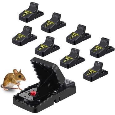 d-CON Reusable Covered Mouse Snap Trap, Easy to Set, Humane Kill, 1 ...