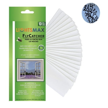 BioCare™ Window Fly Traps 4 Count - Walmart.com