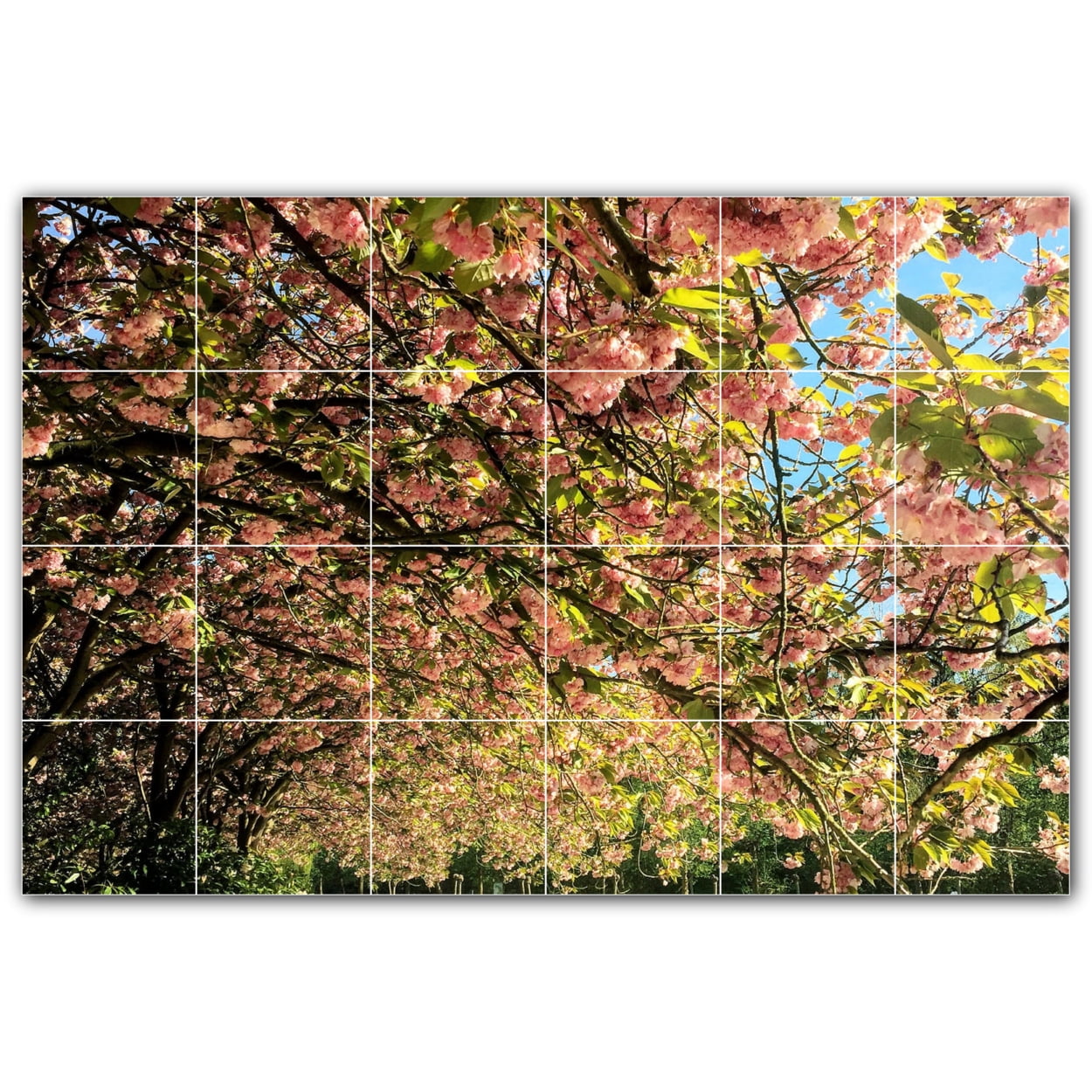 Picture-Tiles.com: Spring Ceramic Tile Wall Mural WAL500950-64L. 48"W x ...