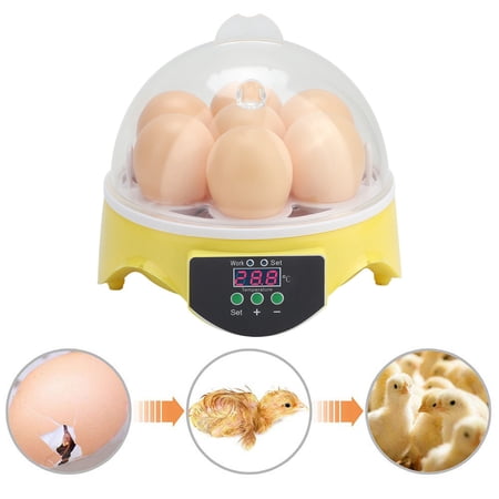 Temperature Control Incubator, Digital Display Round Head Design Easy ...