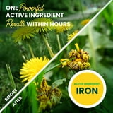 Sunday Dandelion Doom Lawn-Safe Weed Killer, Selective Herbicide, 224 ...