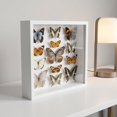 SEWOART Specimen Display Box with Glass Top Wooden Frame for Flower ...