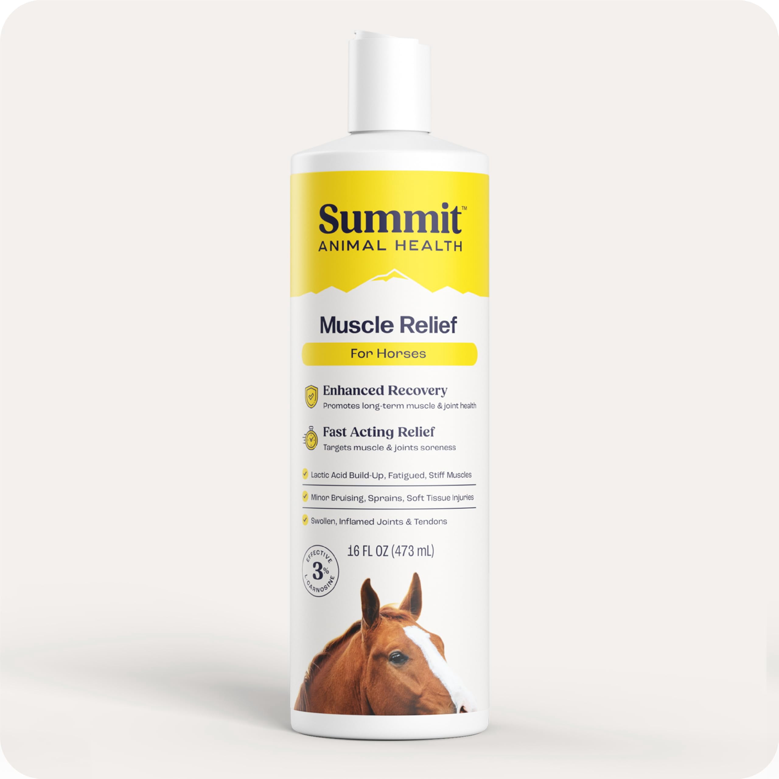 Summit Equine Muscle Relief Gel for Horses â Advanced L-Carnosine ...
