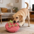 Dog Toy Durable Safe Dog Chew Toy, Non-Toxic Teething Toy for Puppies ...