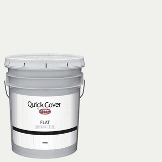 Country White, ColorPlace Pre-Tinted Semi-Gloss Interior Paint, Gallon ...