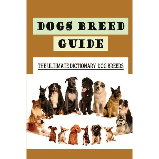 What Is The Origin Of All Dogs