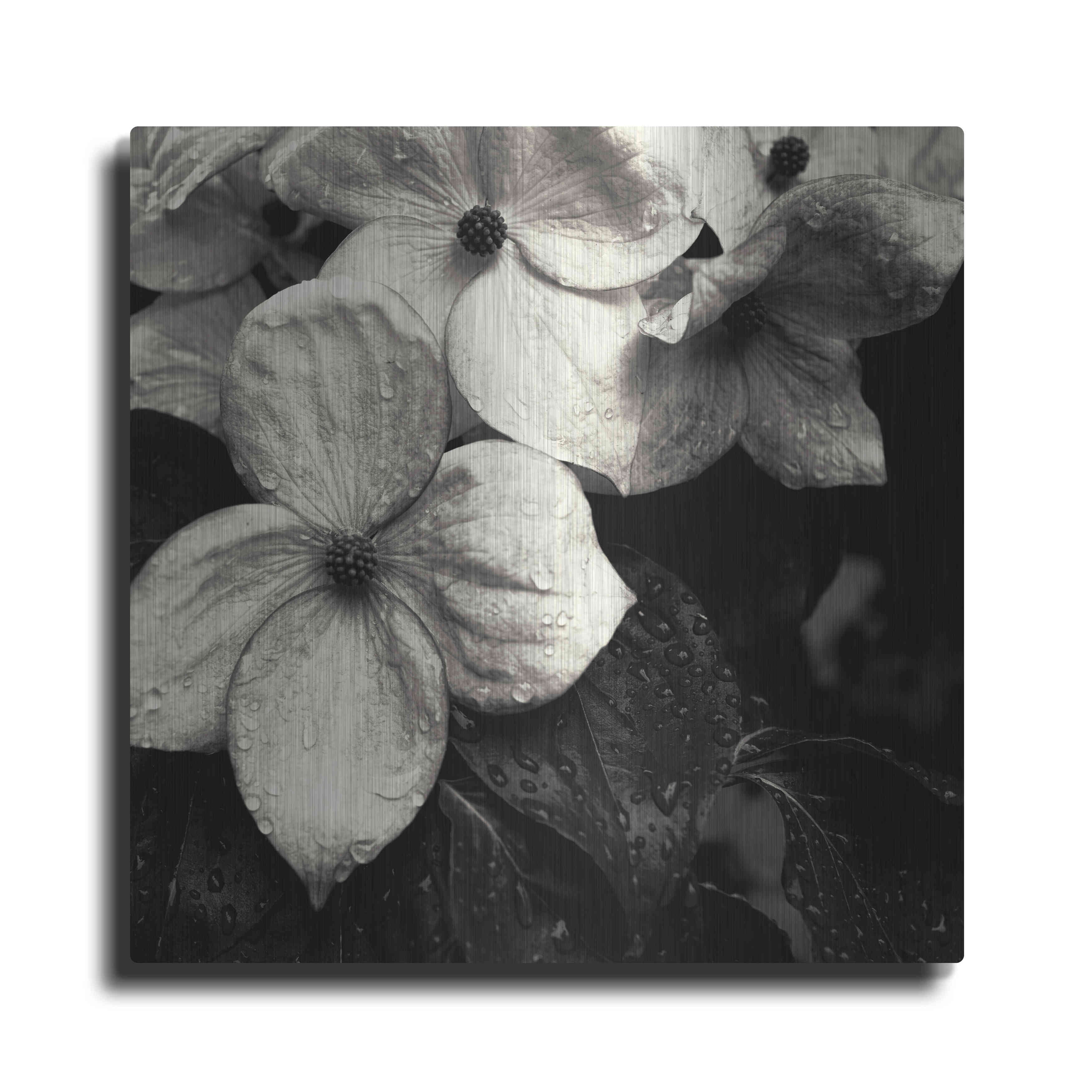 Luxe Metal Art 'Dogwood Flower No. 3' by Gary Horsfall, Metal Wall Art ...