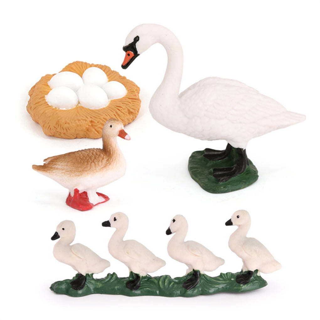 TureClos 1 Set Swan Life Cycle Models Interesting Unique Animal ...
