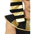Egyptian Pharaoh Adult Costume - Walmart.com